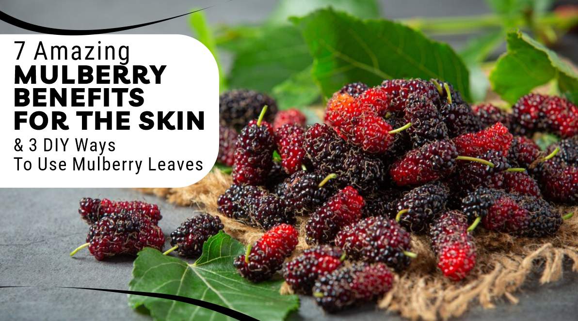 mulberry fruit side effects