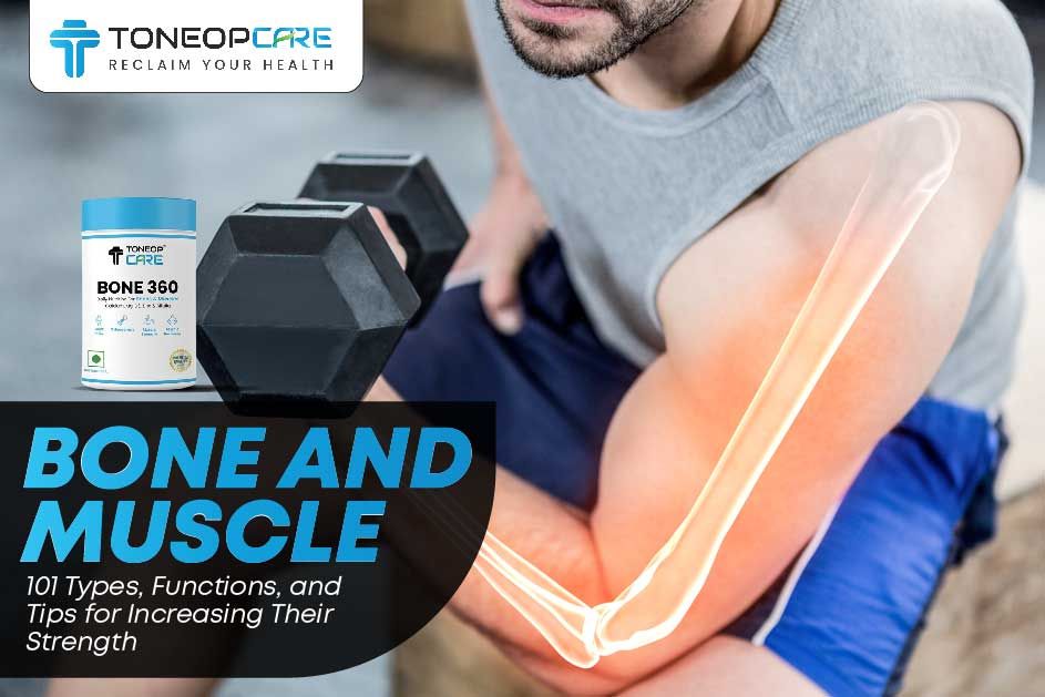 Bone And Muscle 101: Types, Functions, and Tips | ToneOpCare