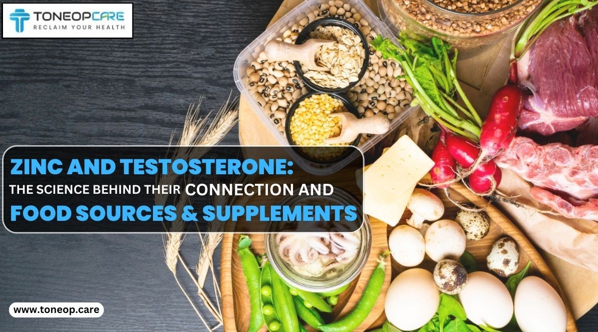 Zinc and Testosterone: The Science Behind | ToneOp Care